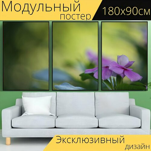 Модульный постер "Цветок, природа, флора" 180 x 90 см. для интерьера
