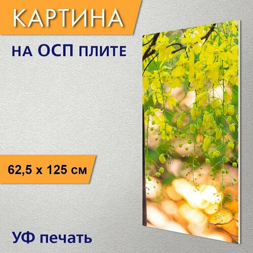 Вертикальная картина на ОСП "Макрос, солнечный свет, цветочный садик" 62x125 см. для интерьериа