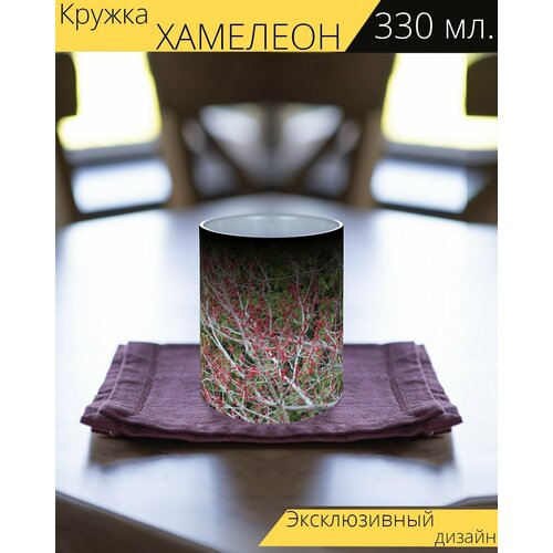 Кружка хамелеон с принтом "Дерево, цветущий, весна" 330 мл.