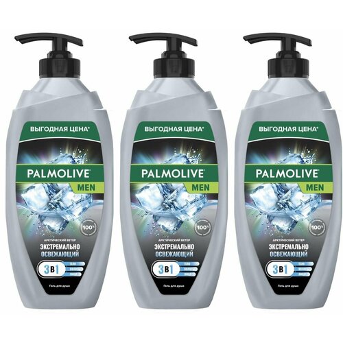 PALMOLIVE Гель для душа FOR MEN ACTIVE 3в1, Арктический ветер, 450 мл, 3 шт