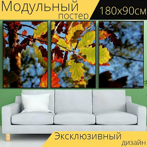 Модульный постер "Листья, золотая польская осень, деревья" 180 x 90 см. для интерьера
