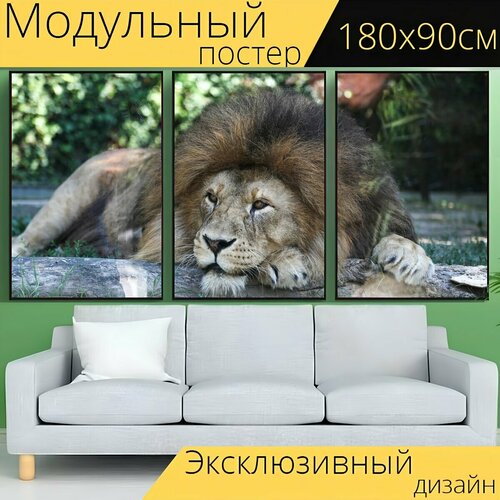 Модульный постер "Лев, животное, хищник" 180 x 90 см. для интерьера