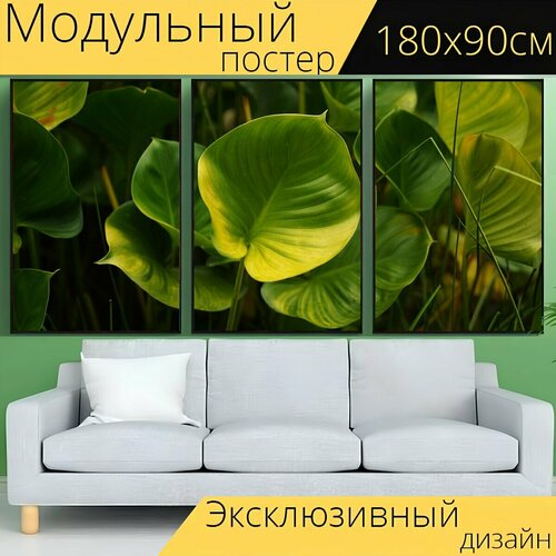 Модульный постер "Зеленый, листья, листва" 180 x 90 см. для интерьера
