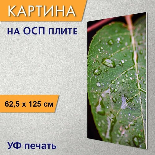 Вертикальная картина на ОСП "Лист, капля дождя, природа" 62x125 см. для интерьериа
