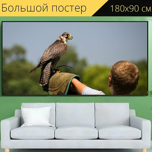 Большой постер "Соколиная охота, хищник, птица" 180 x 90 см. для интерьера