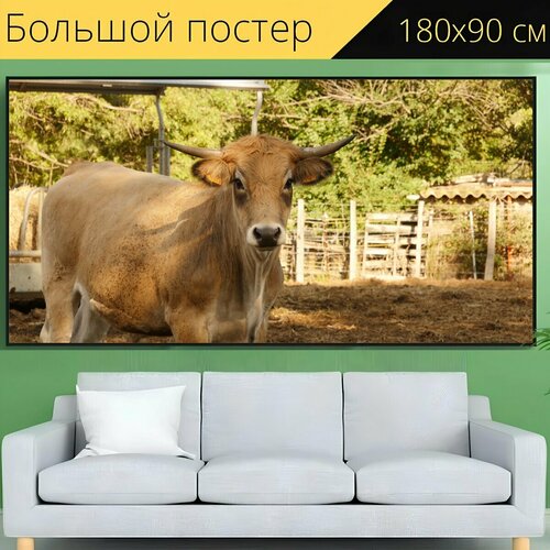 Большой постер "Корова, бык, крупный рогатый скот" 180 x 90 см. для интерьера