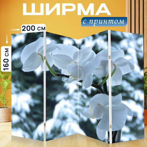 Ширма перегородка с принтом "Орхидея, белый, снег" на холсте - 200x160 см. для зонирования, раскладная