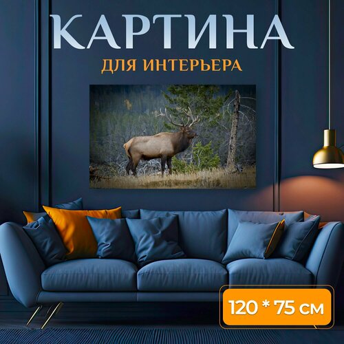 Картина на холсте "Лось, животные, рога" на подрамнике 120х75 см. для интерьера