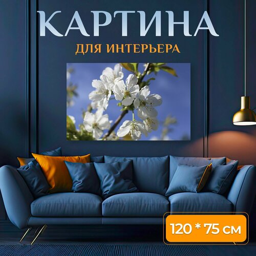 Картина на холсте "Цветок, весна, цветы" на подрамнике 120х75 см. для интерьера