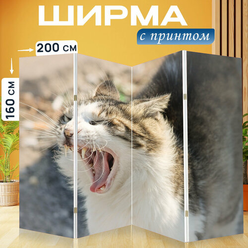 Ширма перегородка с принтом "Домашняя кошка, похмелье, рот" на холсте - 200x160 см. для зонирования, раскладная