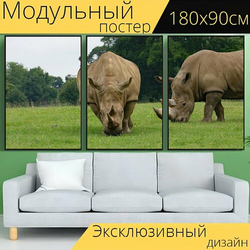 Модульный постер "Носорог, большое животное, дикая природа" 180 x 90 см. для интерьера