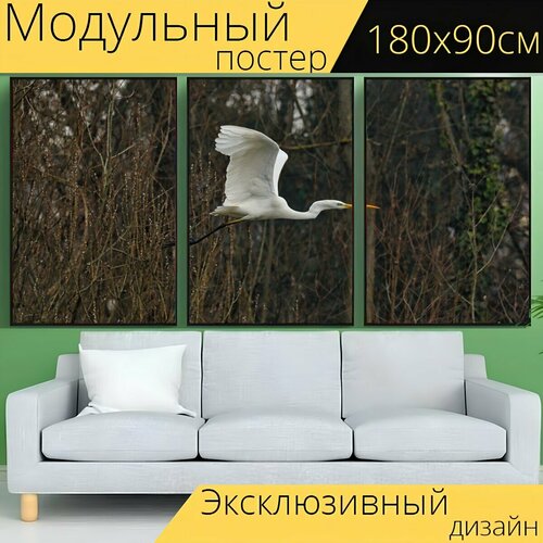 Модульный постер "Большая белая цапля, птица, летающий" 180 x 90 см. для интерьера