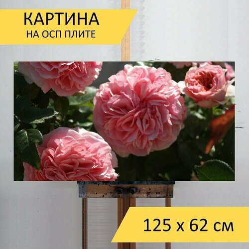 Картина на ОСП 125х62 см. "Роза, сад, аромат" горизонтальная, для интерьера, с креплениями