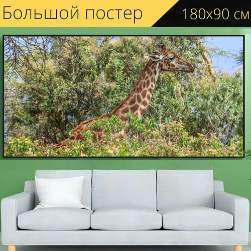 Большой постер "Жирафа, животное, деревья" 180 x 90 см. для интерьера