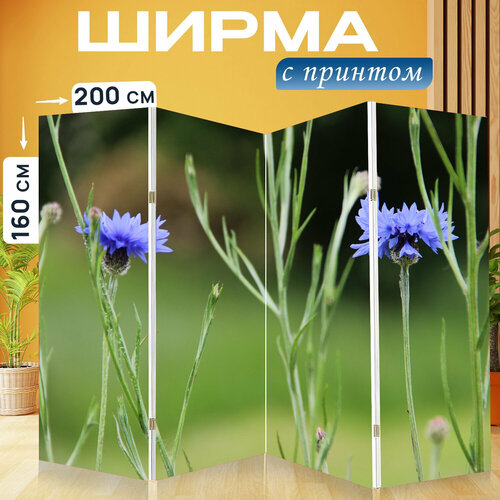 Ширма перегородка с принтом "Цветы, цветок, весна" на холсте - 200x160 см. для зонирования, раскладная