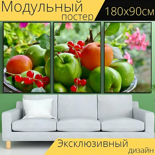 Модульный постер "Фрукты, яблоко, абрикосы" 180 x 90 см. для интерьера