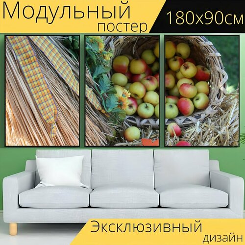 Модульный постер "Яблоки, региональная таможня, фрукты" 180 x 90 см. для интерьера