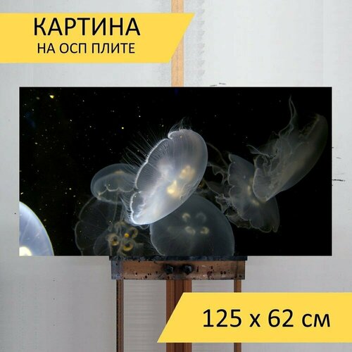 Картина на ОСП 125х62 см. "Медуза, аквариум, подводный" горизонтальная, для интерьера, с креплениями