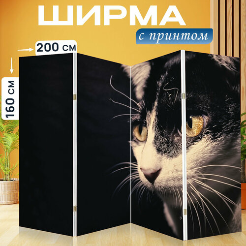 Ширма перегородка с принтом "Кошка, портрет, милый" на холсте - 200x160 см. для зонирования, раскладная