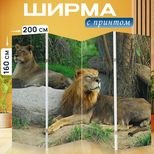 Ширма перегородка с принтом "Лев, райан, животное короля" на холсте - 200x160 см. для зонирования, раскладная
