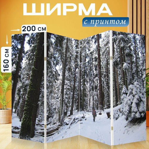 Ширма перегородка с принтом "Лес, снег, пеший туризм" на холсте - 200x160 см. для зонирования, раскладная