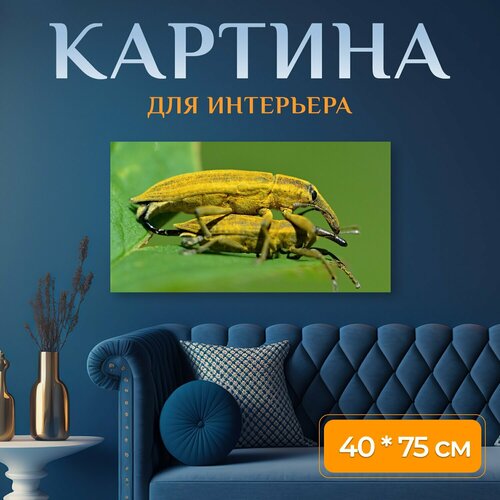 Картина на холсте "Жуки, ошибки, насекомые" на подрамнике 75х40 см. для интерьера