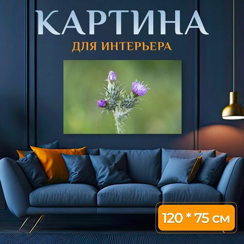 Картина на холсте "Цветок, кактус, кактусы" на подрамнике 120х75 см. для интерьера