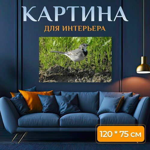 Картина на холсте "Мотацилла, птица, трясогузка" на подрамнике 120х75 см. для интерьера