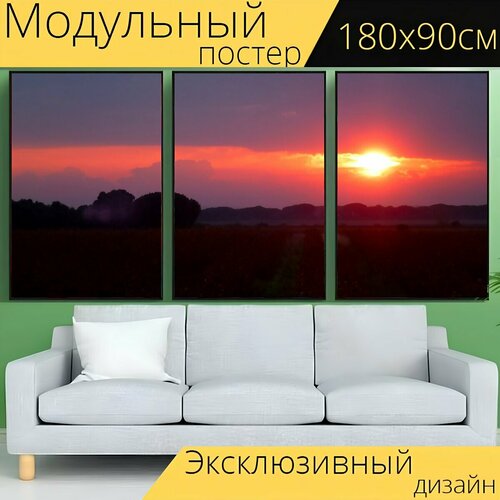 Модульный постер "Восход солнца, лозы, пейзаж" 180 x 90 см. для интерьера