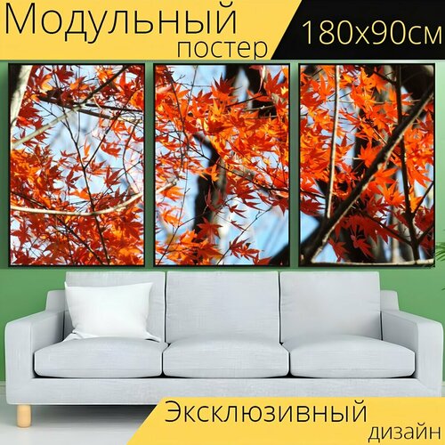 Модульный постер "Осень, лист, сезон" 180 x 90 см. для интерьера