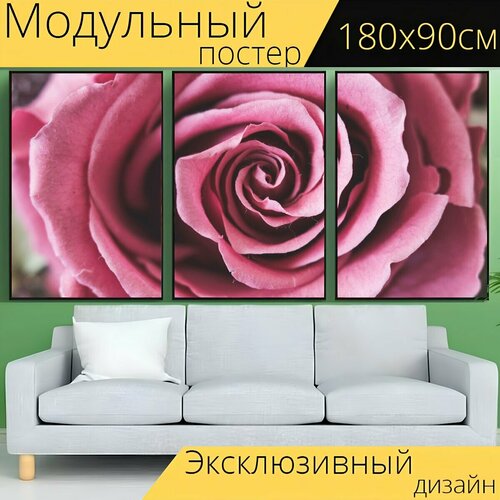 Модульный постер "Роза, розовый, цвести" 180 x 90 см. для интерьера