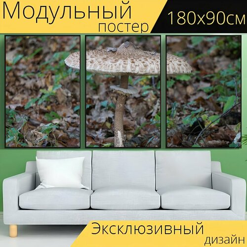 Модульный постер "Гриб, грибов, лес" 180 x 90 см. для интерьера