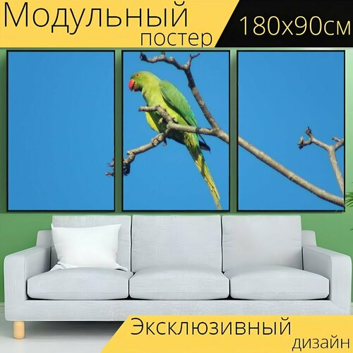 Модульный постер "Роза кольчатой попугай, дикая природа, птица" 180 x 90 см. для интерьера