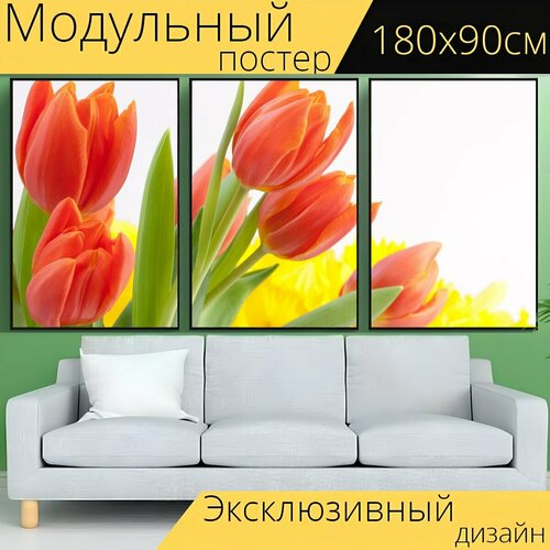 Модульный постер "Тюльпаны, букет цветов, весна" 180 x 90 см. для интерьера