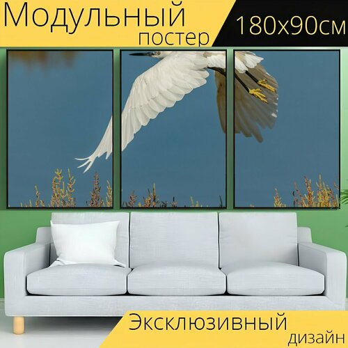 Модульный постер "Цапля, птица, белый" 180 x 90 см. для интерьера