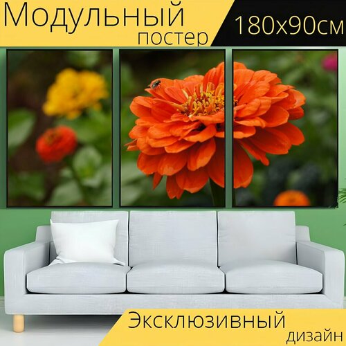 Модульный постер "Цветок, апельсин, красочный" 180 x 90 см. для интерьера