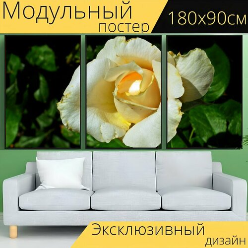 Модульный постер "Роуз, цветок, любовь" 180 x 90 см. для интерьера
