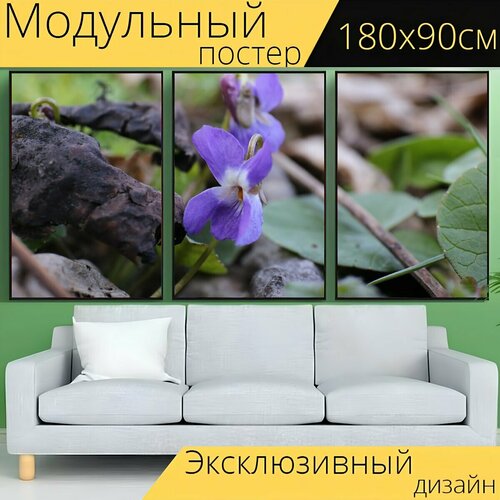 Модульный постер "Фиолетовый, цветок весны, весна" 180 x 90 см. для интерьера