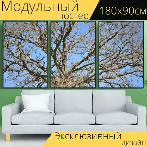 Модульный постер "Дерево, ветви, природа" 180 x 90 см. для интерьера