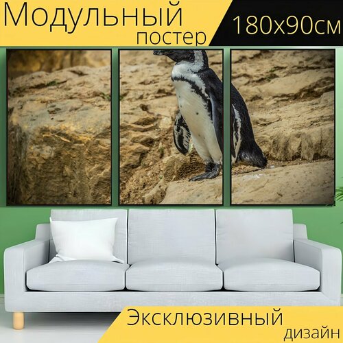 Модульный постер "Пингвины, животное, птица" 180 x 90 см. для интерьера