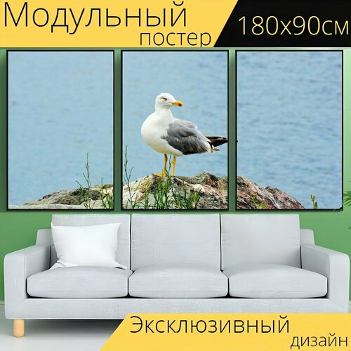 Модульный постер "Чайка, морской, птица" 180 x 90 см. для интерьера