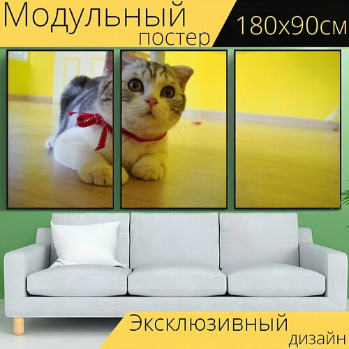 Модульный постер "Кот, играть, домашний питомец" 180 x 90 см. для интерьера