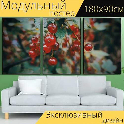 Модульный постер "Смородина, фрукты, ягода" 180 x 90 см. для интерьера