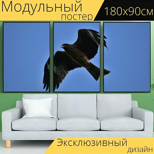 Модульный постер "Животное, небо, птица" 180 x 90 см. для интерьера
