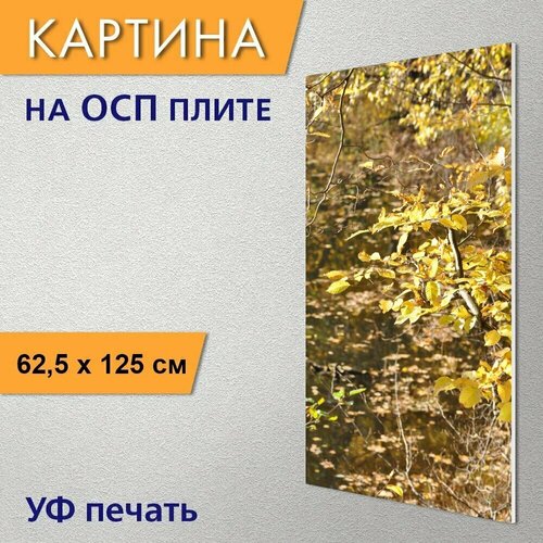 Вертикальная картина на ОСП "Осень, листья, лес" 62x125 см. для интерьериа