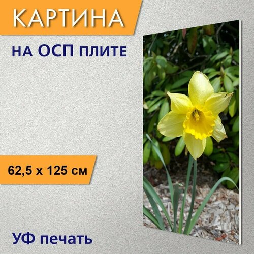 Вертикальная картина на ОСП "Нарцисс, цветок, желтый" 62x125 см. для интерьериа