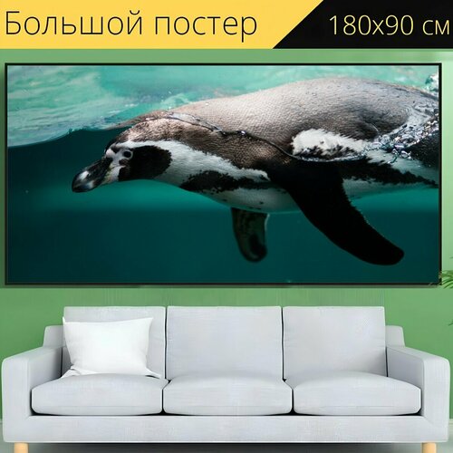 Большой постер "Пингвин, водный, плавать" 180 x 90 см. для интерьера