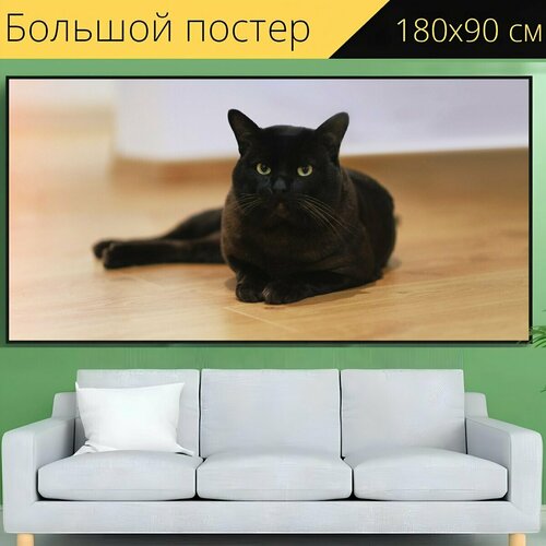 Большой постер "Кошка, черный кот, чернить" 180 x 90 см. для интерьера