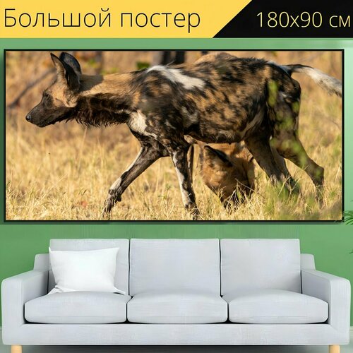 Большой постер "Африканская дикая собака, животное, сафари" 180 x 90 см. для интерьера
