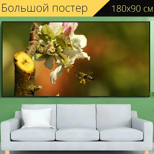 Большой постер "Пчела, яблоня, весна" 180 x 90 см. для интерьера